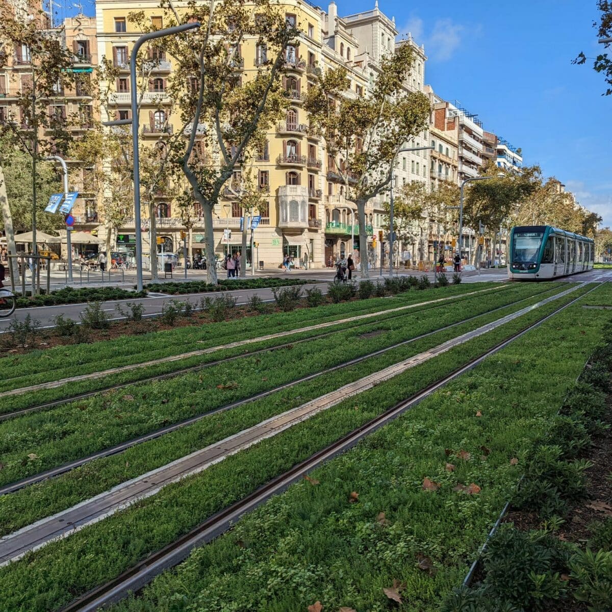 Green tramtracks | Sustainable rail infrastructure