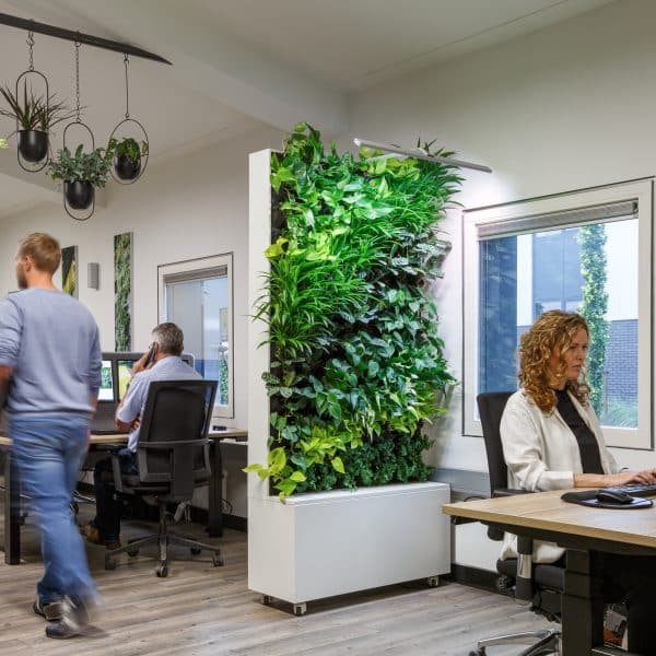 Green Wall Work Method | Design, Installation & Maintenance