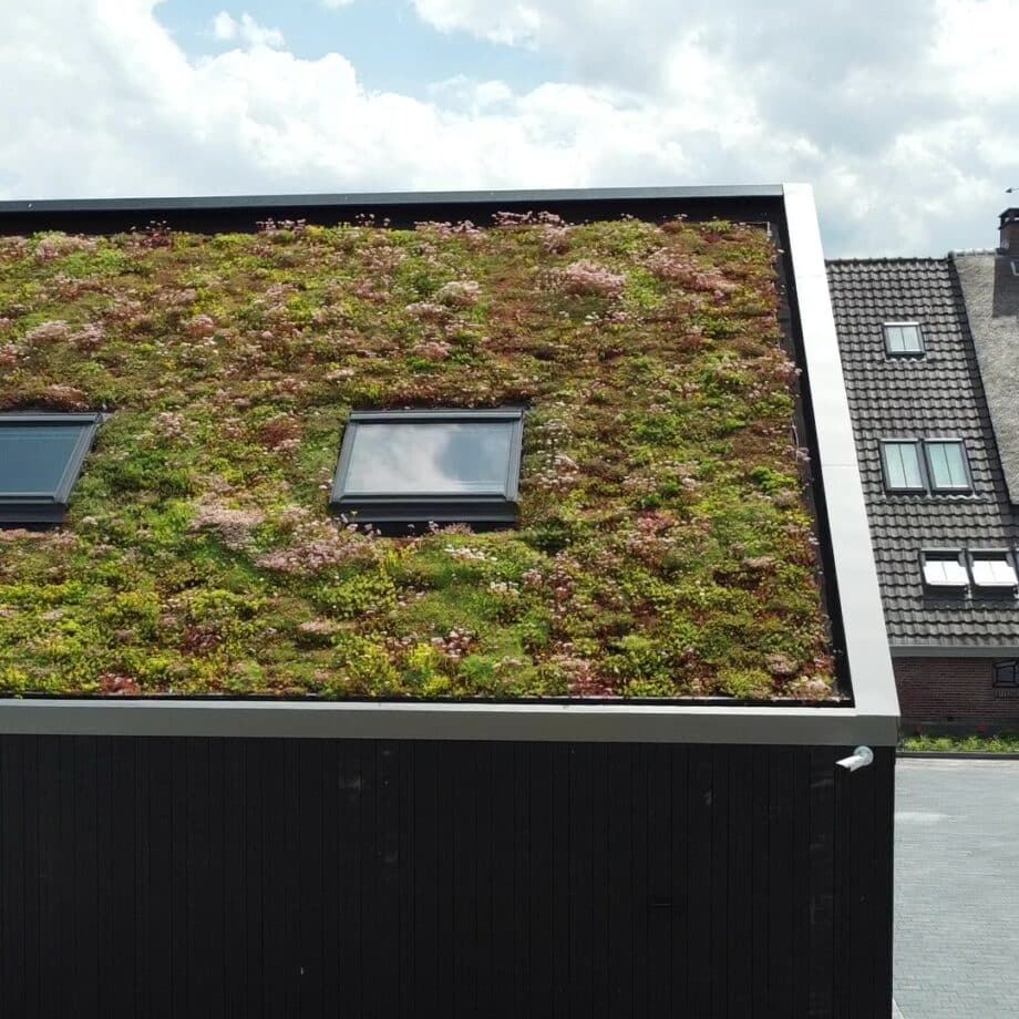Groene gevels | Verticale gevelsystemen van Sempergreen