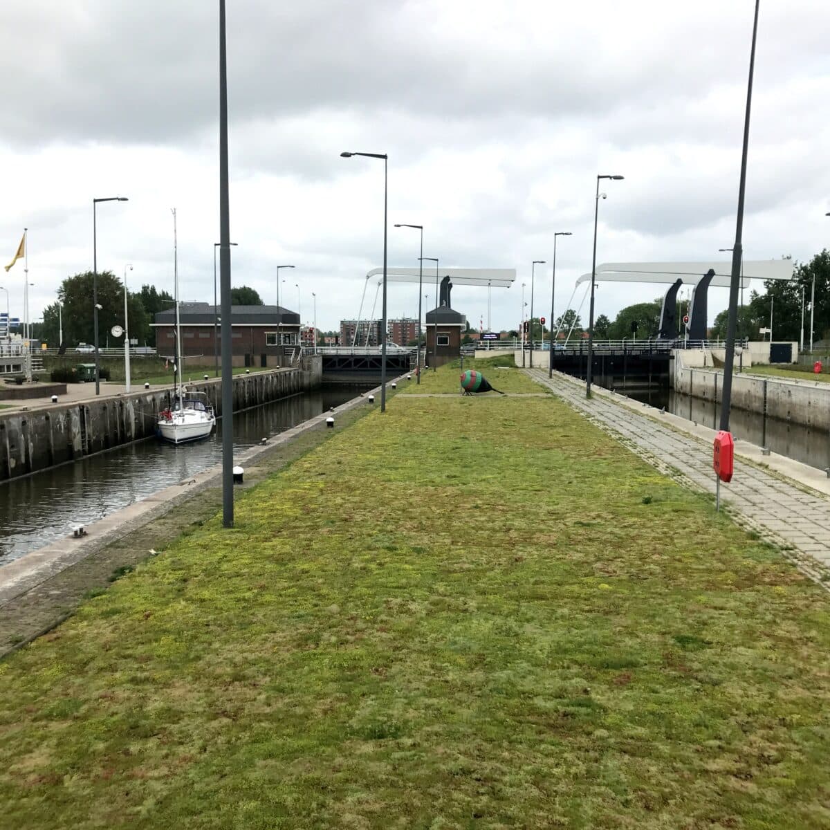 Groendak | Duurzame dakoplossingen van Sempergreen