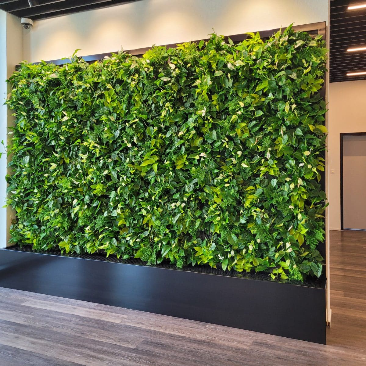 Groene gevels | Verticale gevelsystemen van Sempergreen