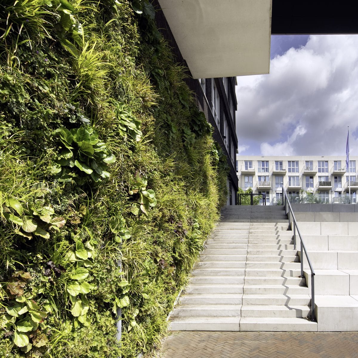 Groendak | Duurzame dakoplossingen van Sempergreen