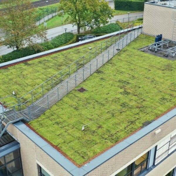 Groene gevels | Verticale gevelsystemen van Sempergreen