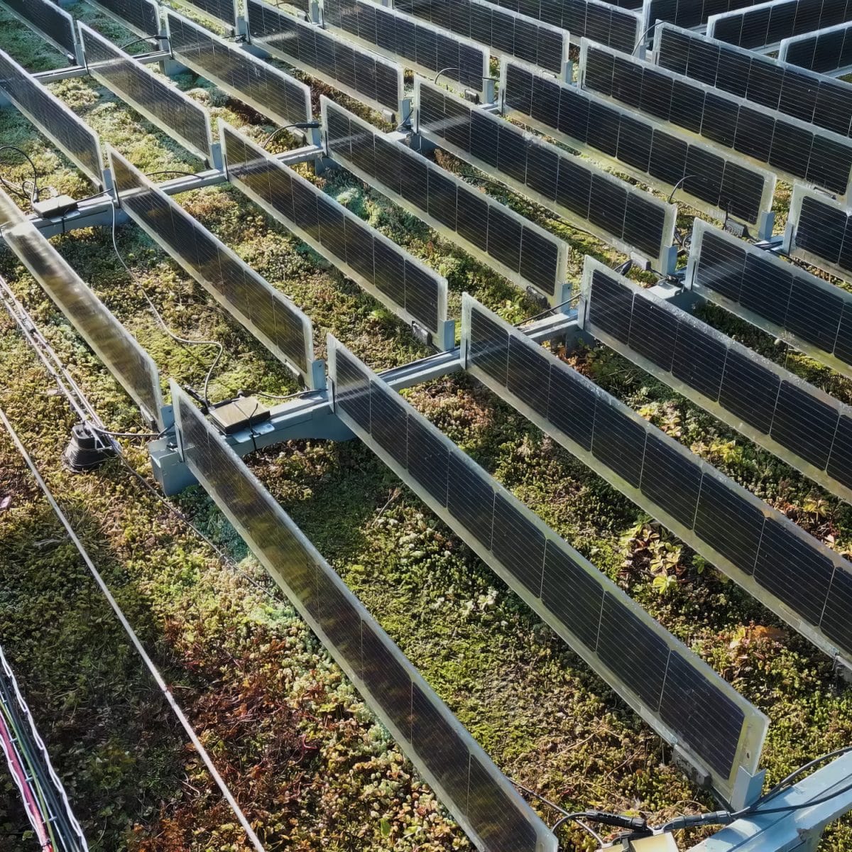 Water Storage in the Garden: Smart Solutions for Heavy Rainfall ...
