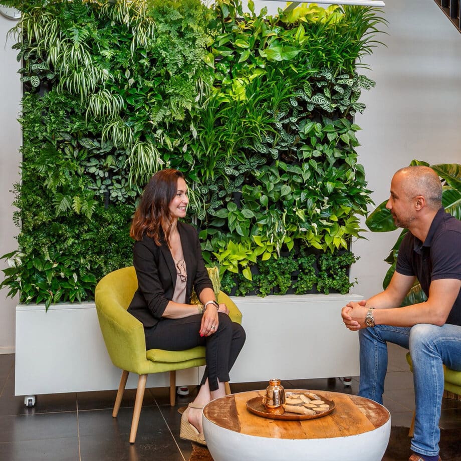 5 Reasons to Introduce a Green Wall into Your Office - Sempergreen USA