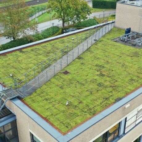 Urban Greening | Green Roofs, Living Walls & Ground Covers